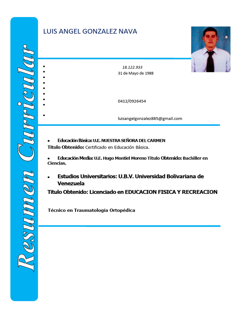 Curriculum Luis 2 | PDF