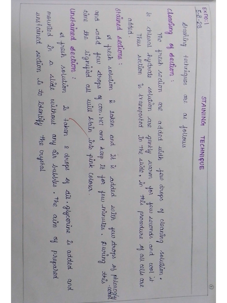 Cog 2 Rec (Exp 1 To 10) | PDF