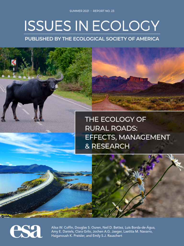 IIE - 24 Rural Roads | PDF