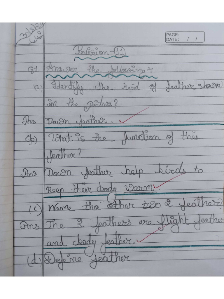 Class 3 Science | PDF