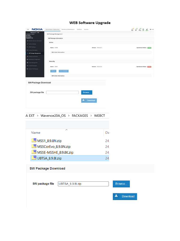 WEB Software Upgrade | PDF