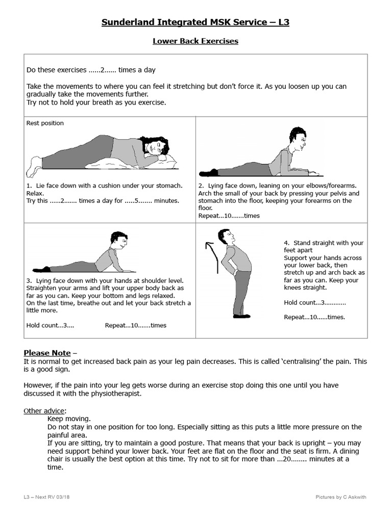 L3 Extension Based Exercises Low Back | PDF