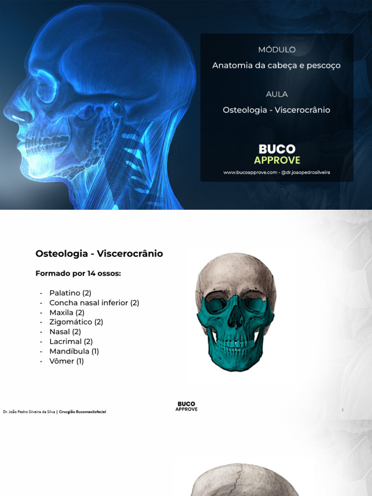Anatomia Cabeça e Pescoço Viscerocrânio | PDF
