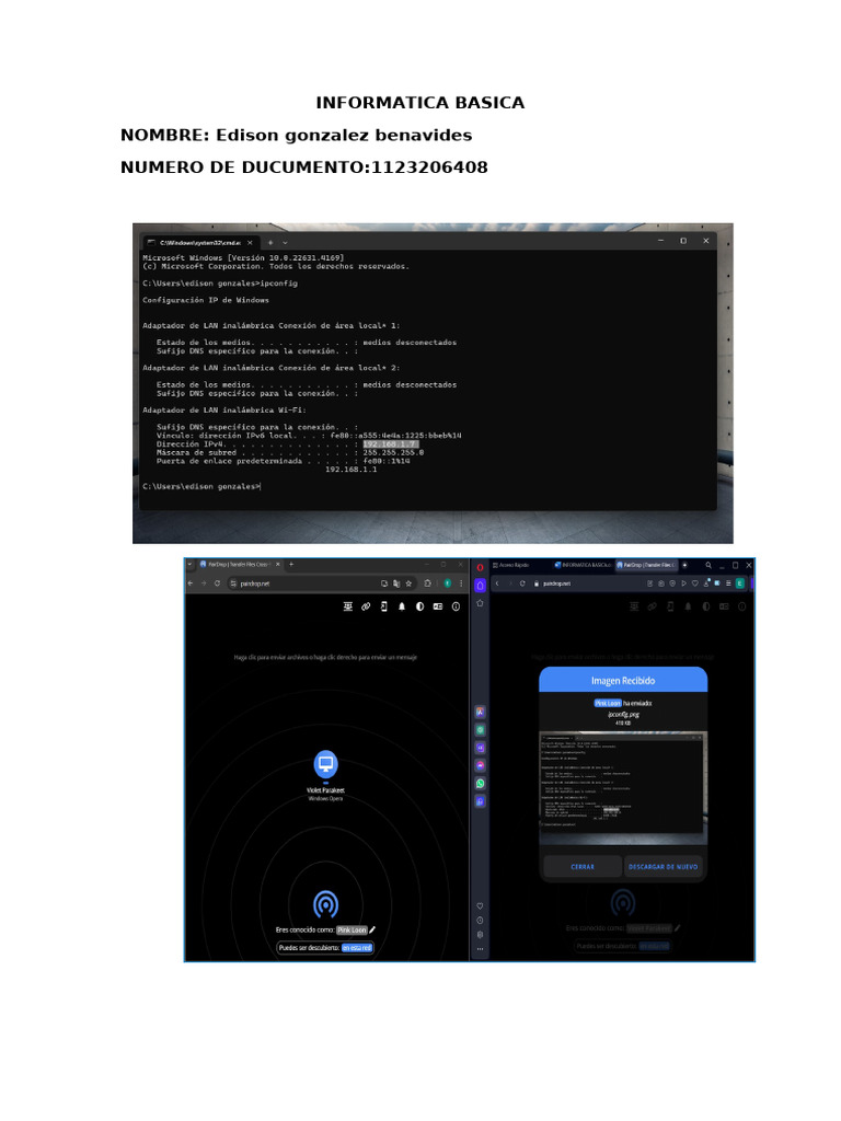 Informatica Basica | PDF