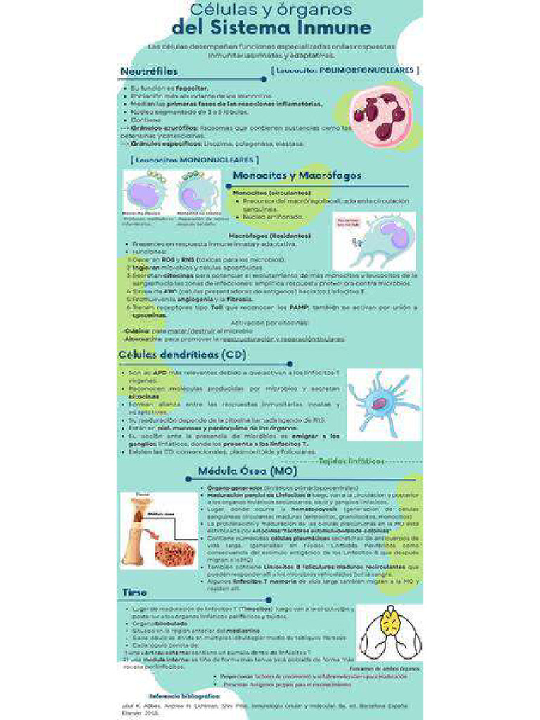 Sistema Inmune | PDF