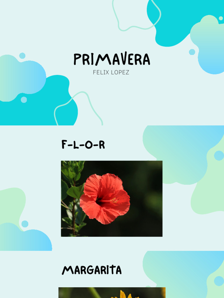 Primavera | PDF