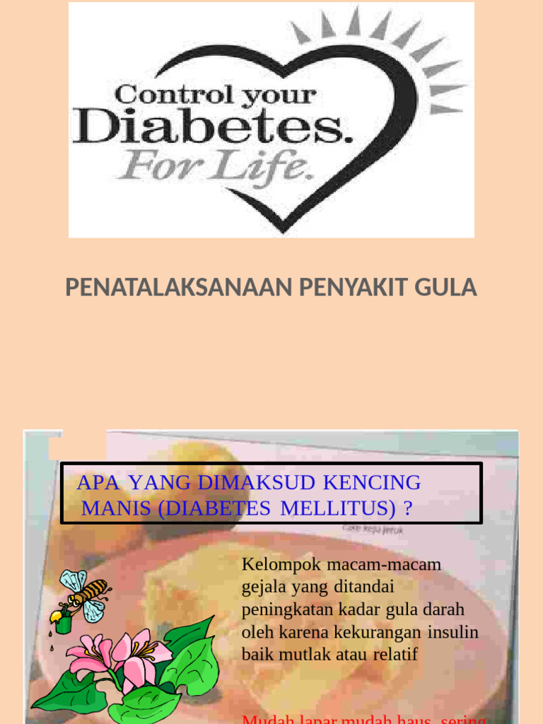 Prolanis DM SEPT | PDF