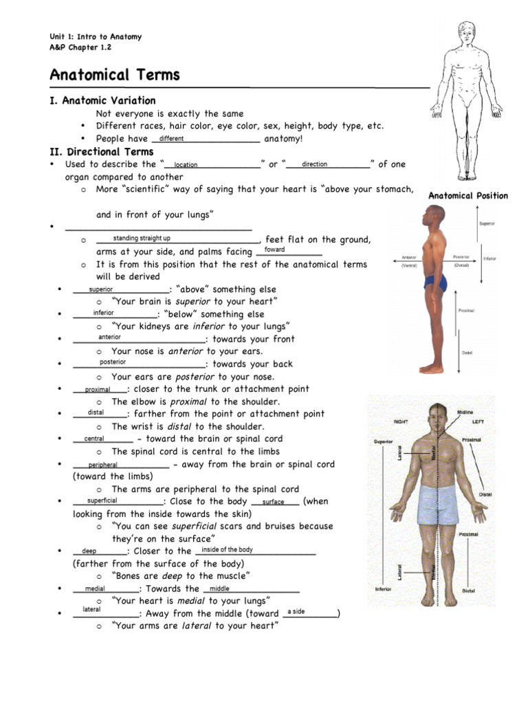 Kami Export - Isabella Cabrera - Kami Export - Chelsea Beverly ...