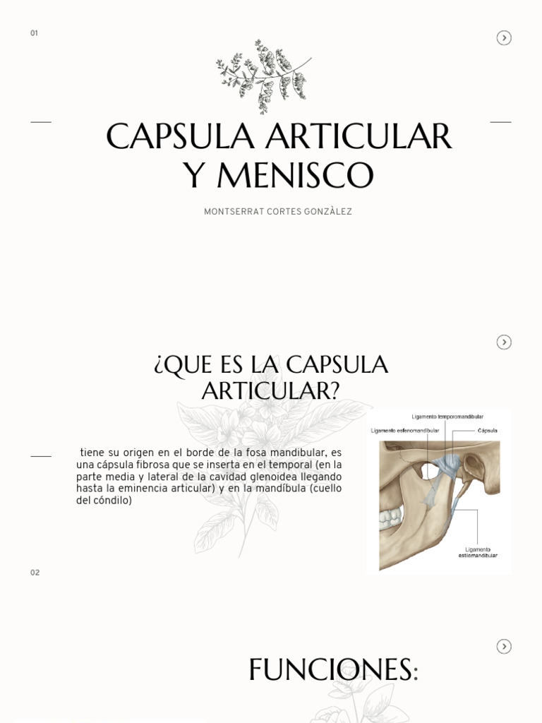 Cápsula Articular y Menisco | PDF