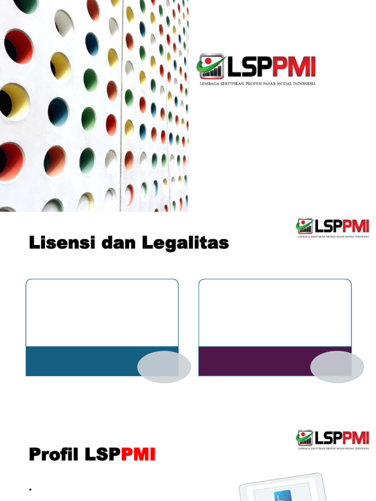 Profil LSP PMI V14rev - 241001 - 082325 | PDF