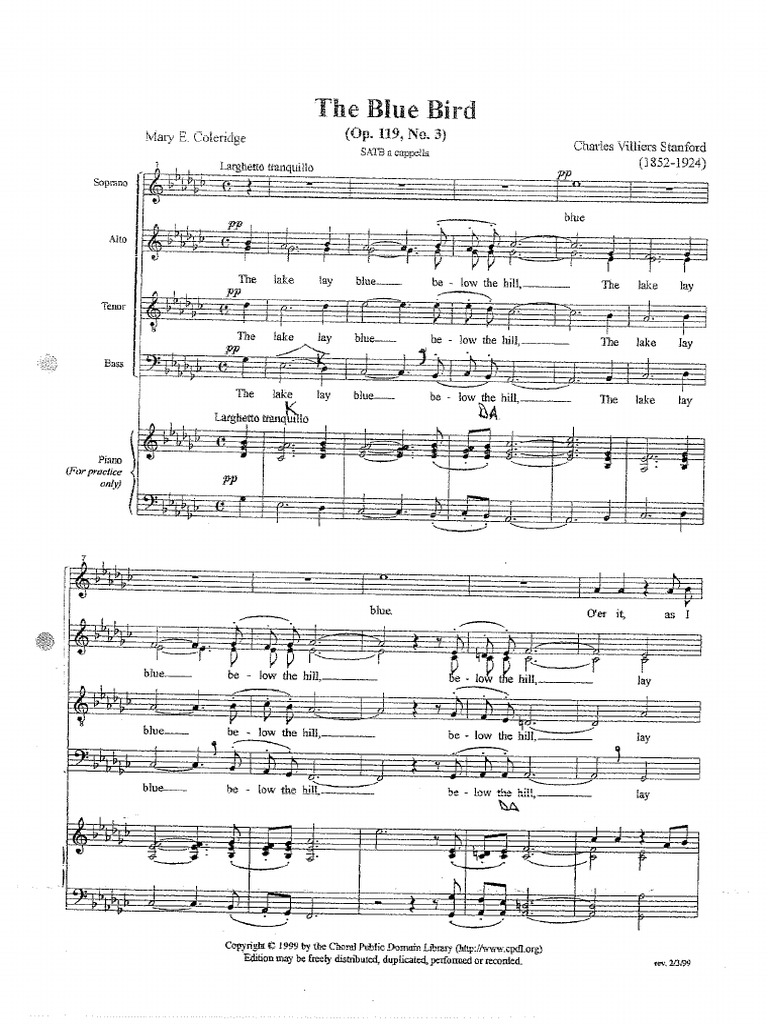 The Bluebird Stanford | PDF