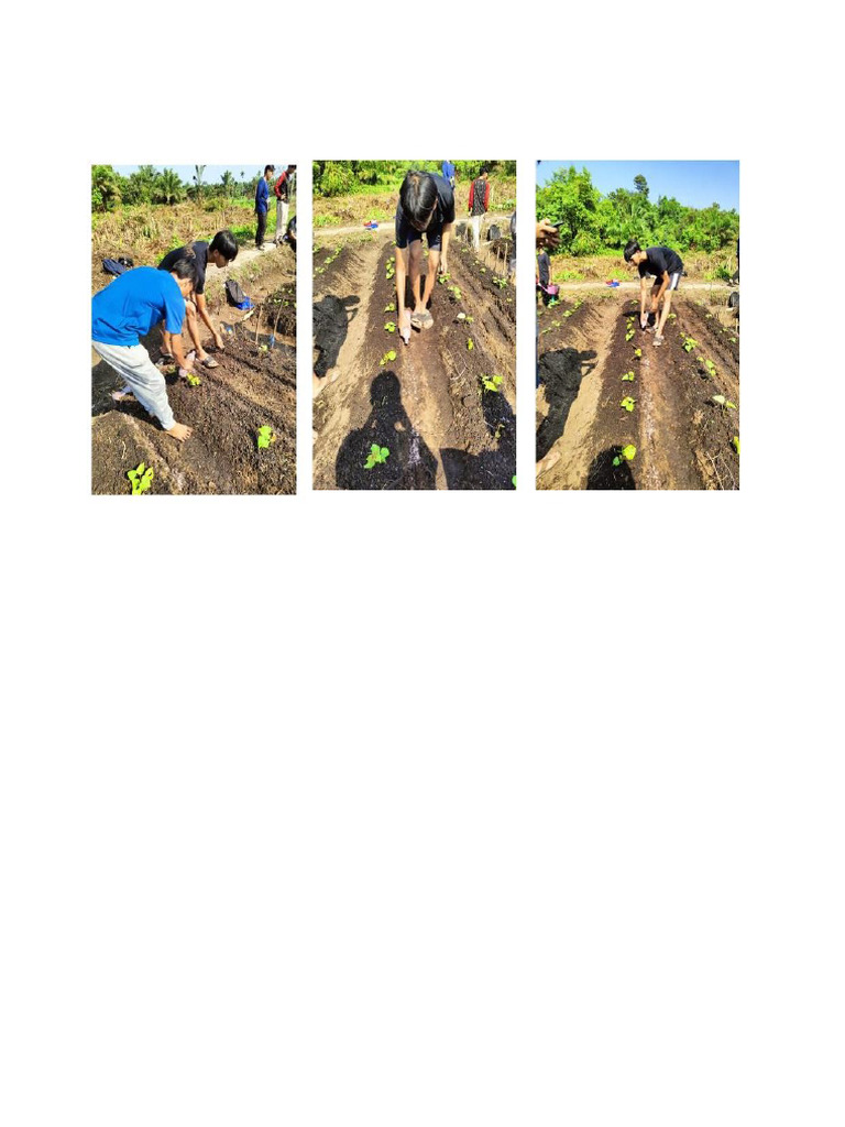 Lampiran TPTP Acara 3 | PDF