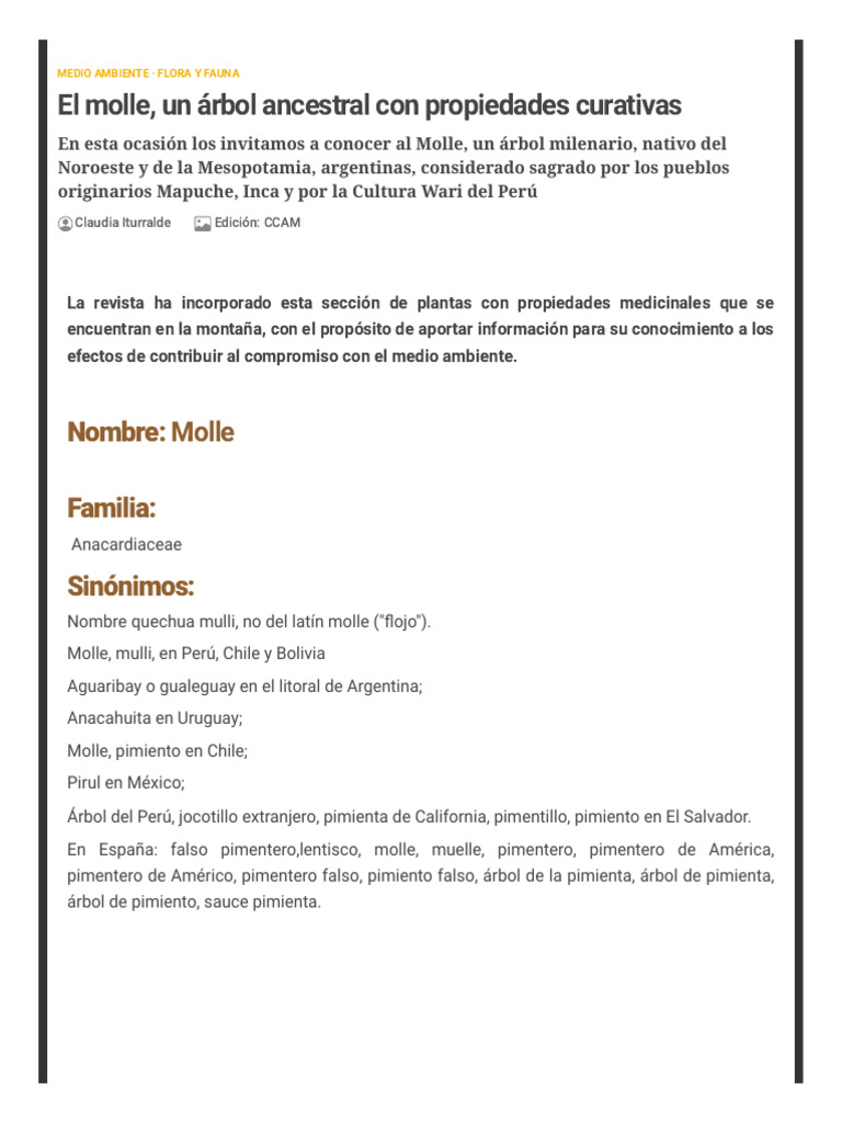 Molle Árbol Noticias de Montaña | PDF