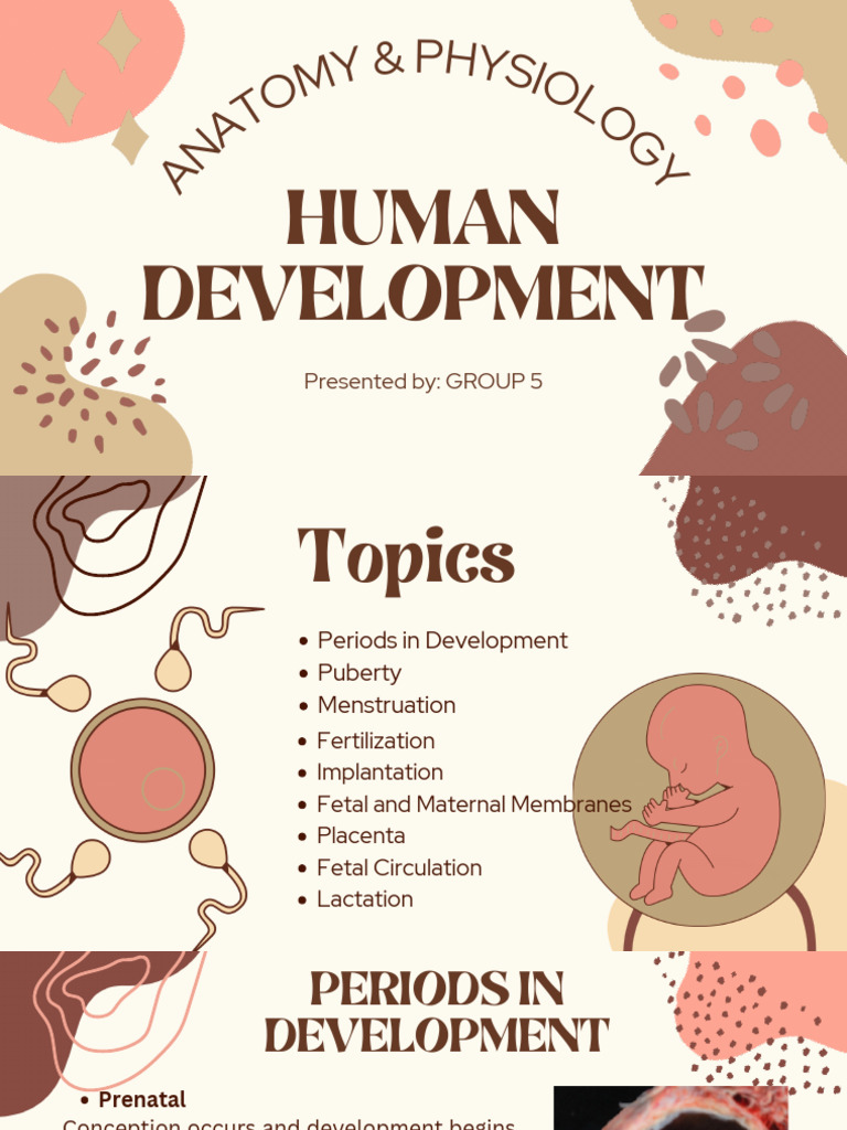 Group 5 - Human Development PTX | PDF