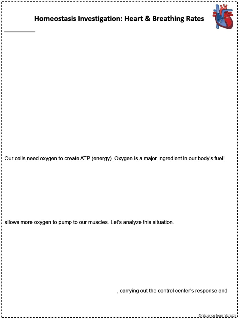Homeostasis Lab (1 | PDF
