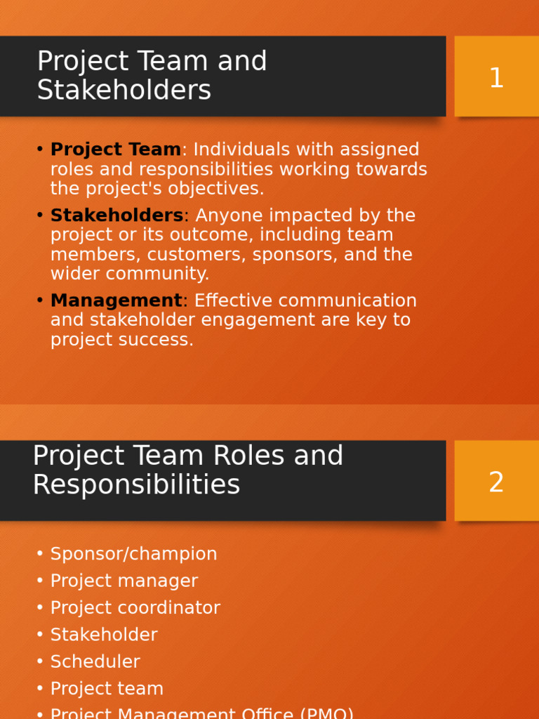 Week - 1 - Project Team Roles and Responsibilities - Lesson 1c | PDF