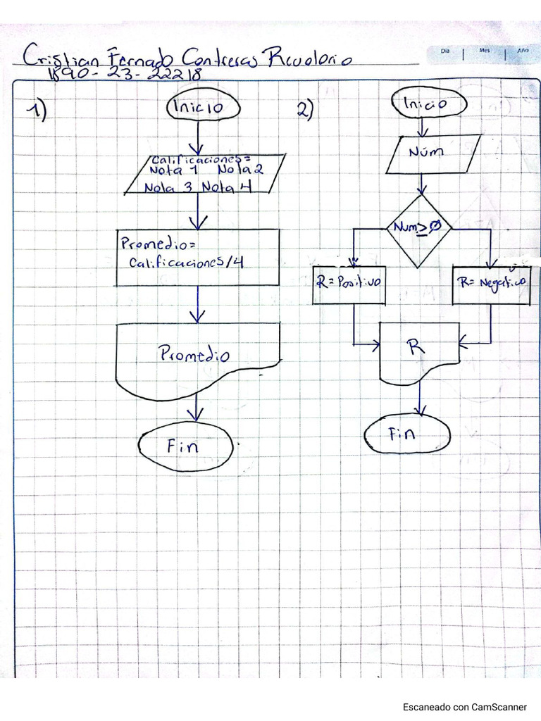 Diagrama de Flujo Algoritmos | PDF