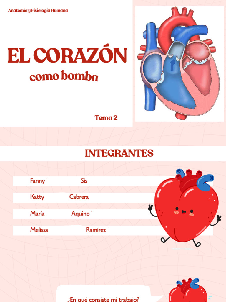 Función Del Corazón Como Bomba - Compendio para Estudio | PDF