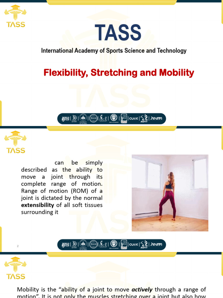 Stretching | PDF