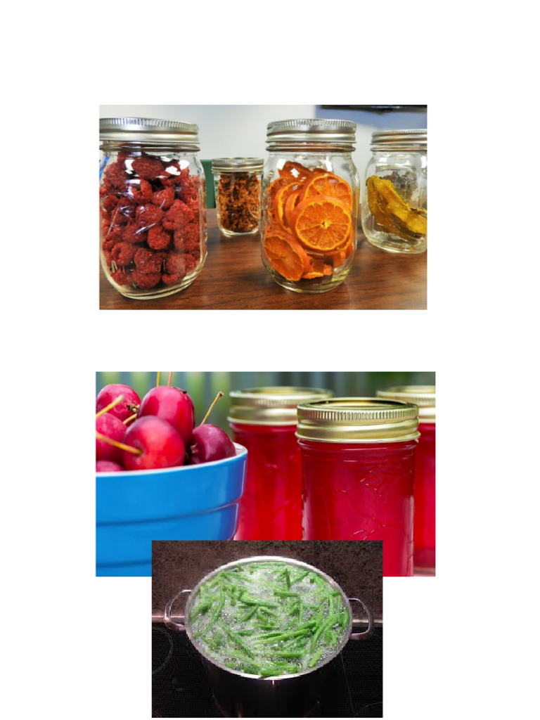Food Preservation | PDF