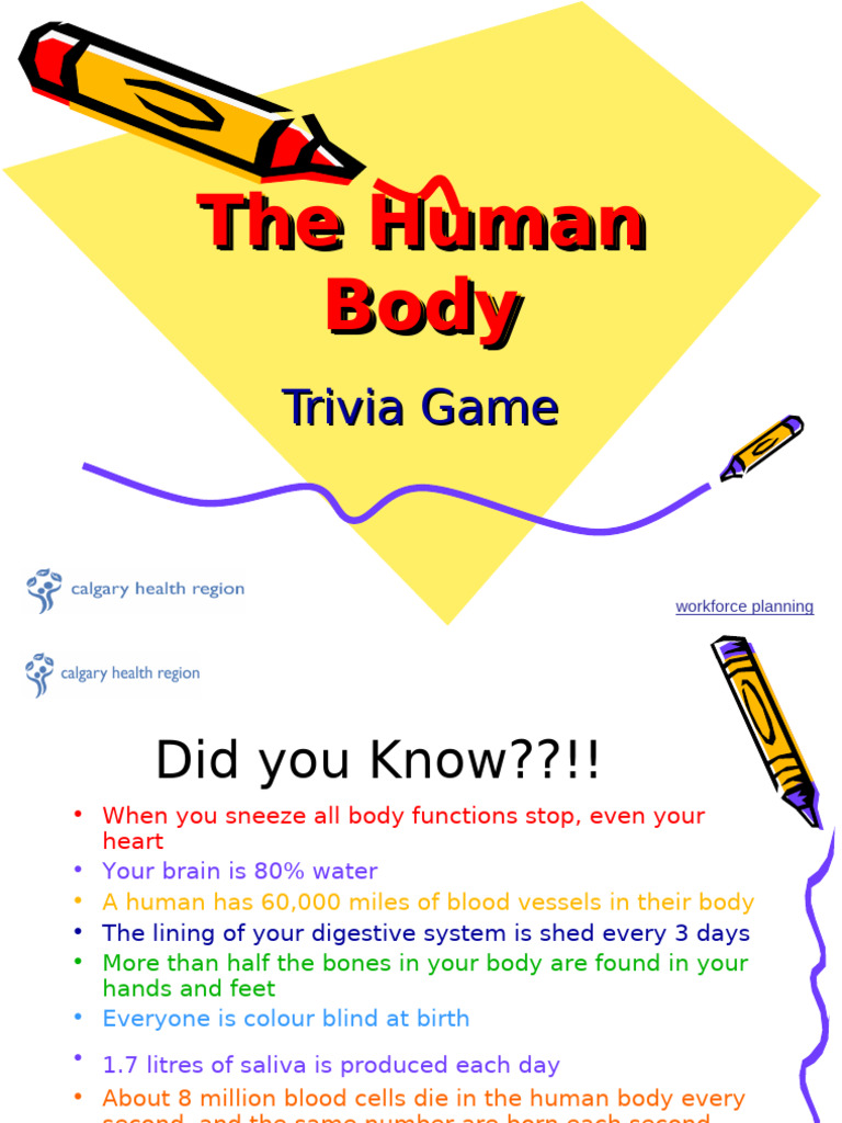 Human Body Trivia and Systems Guide | PDF | Digestion | Stomach