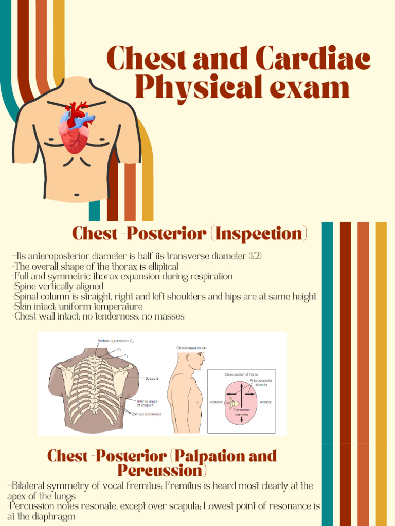 Chest and Cardiac PE | PDF