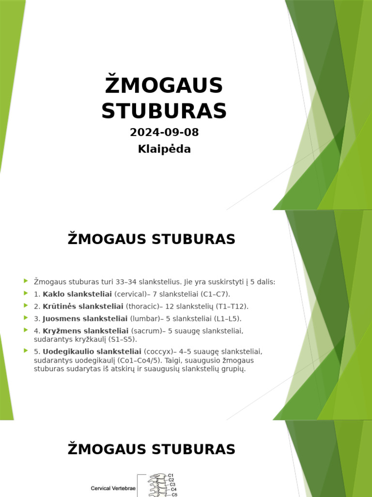 Žmogaus Stuburas | PDF
