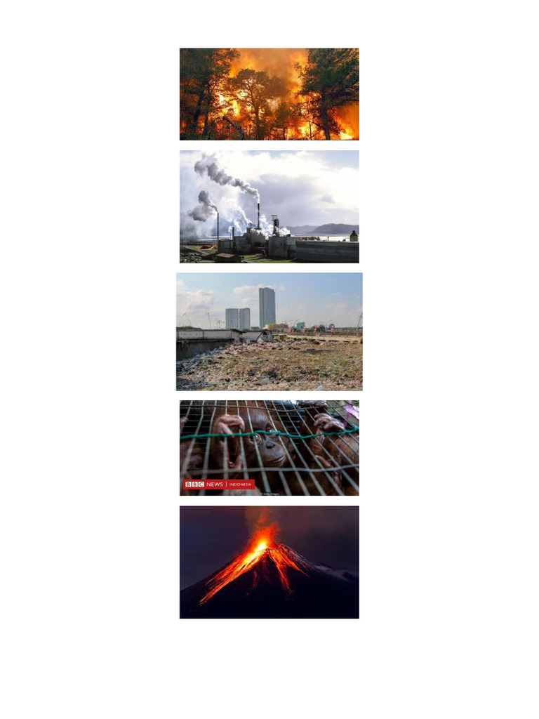 5 Gambar SD Gang Dame 2 | PDF