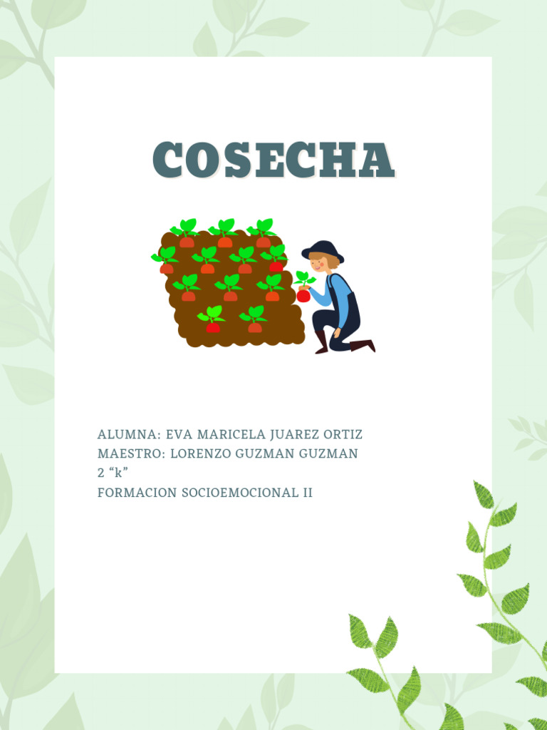 Pasos para Una Cosecha | PDF