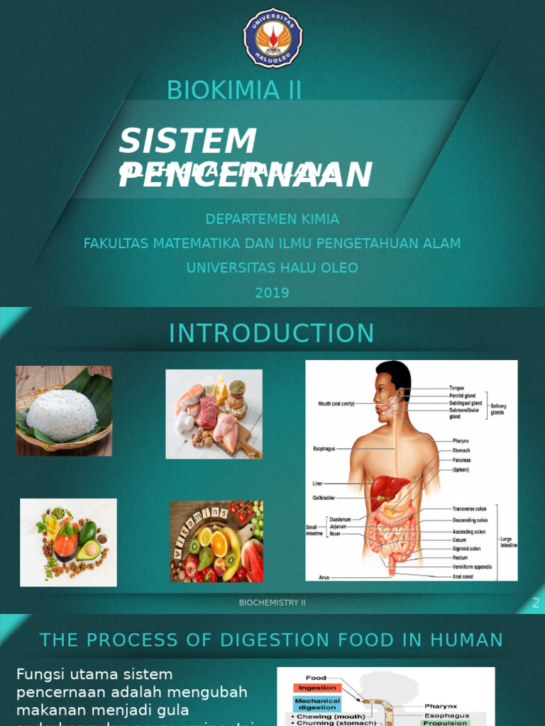 Biochemistry II (Digestive System) | PDF