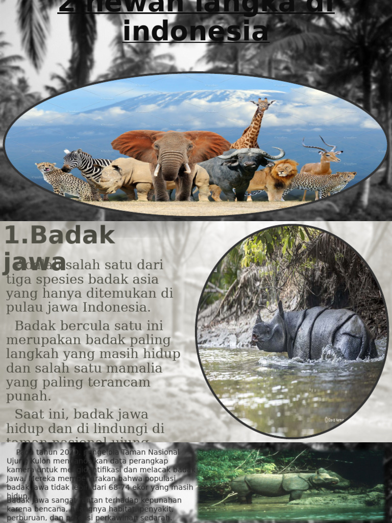 2 Hewan Lanka Tawasi Yudi | PDF