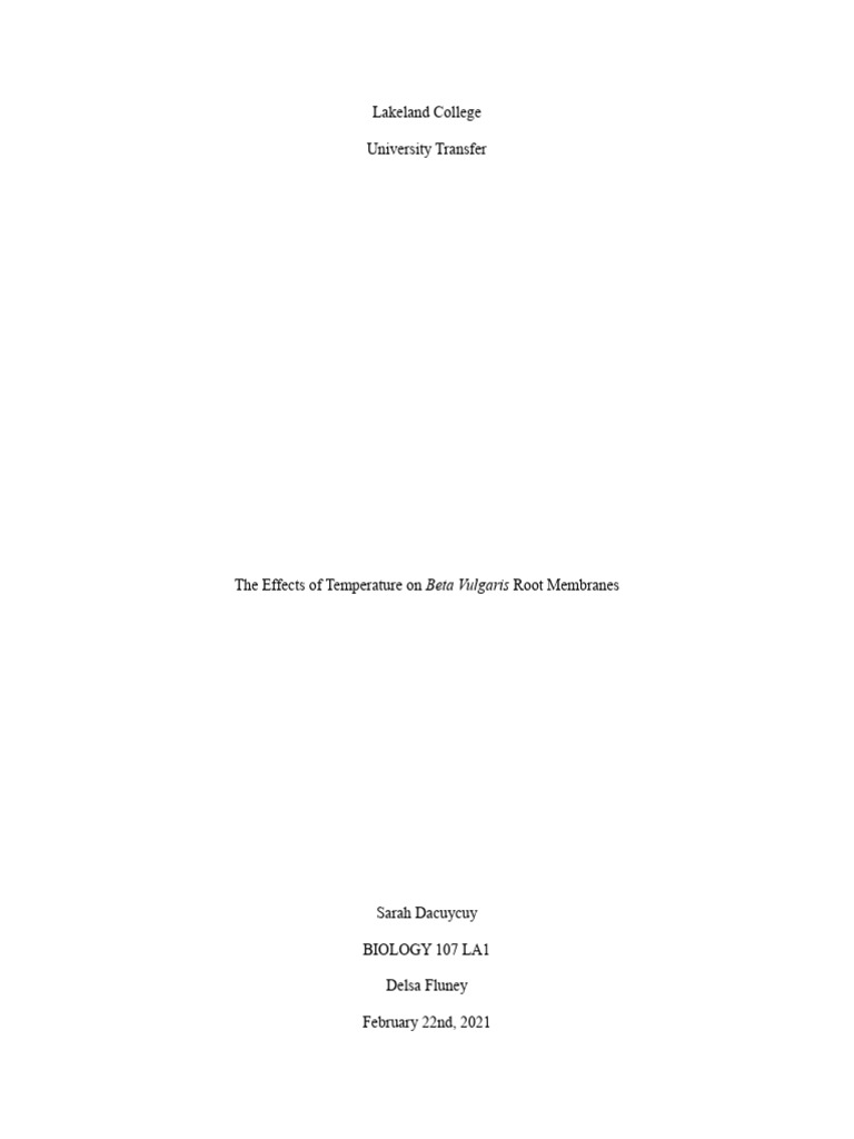 BEET Half Lab Report | PDF