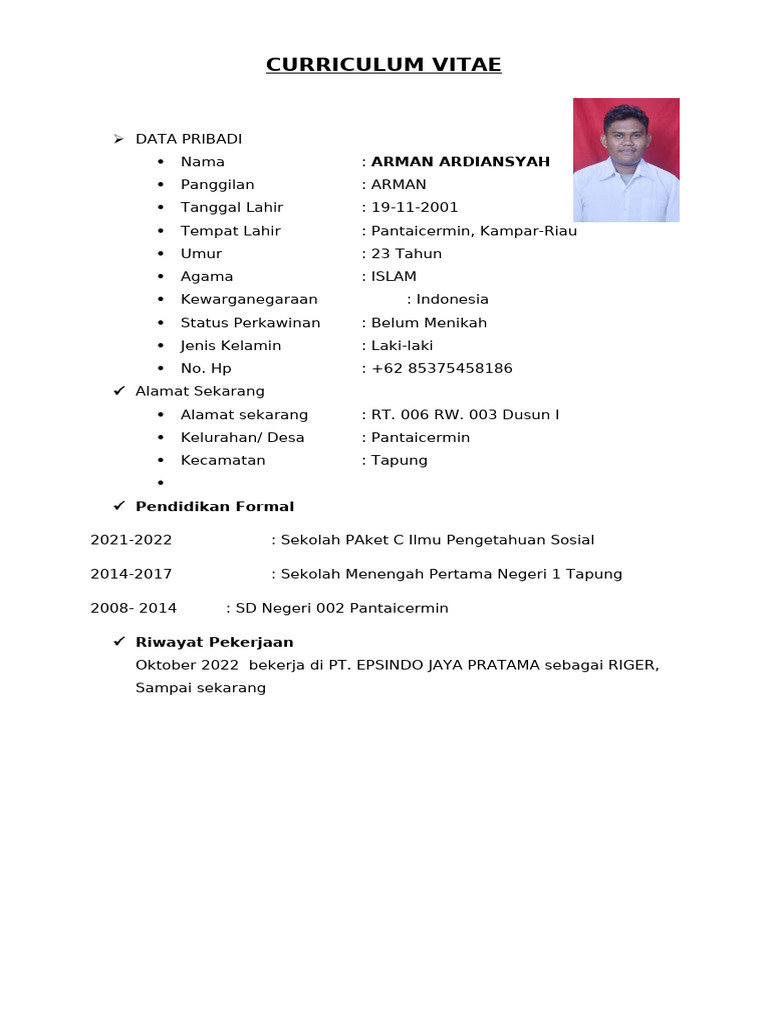 Curriculum Vitae - Arman | PDF