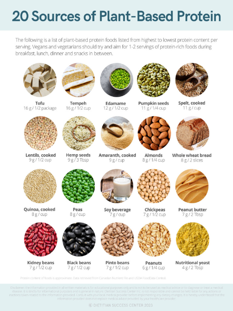 20 Sources of Plant Based Protein | PDF