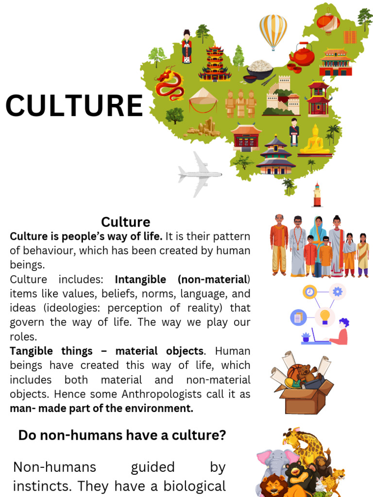Culture | PDF