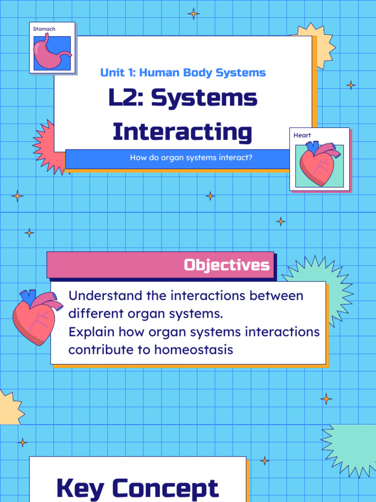U1 - L2 Systems Interacting | PDF | Wellness
