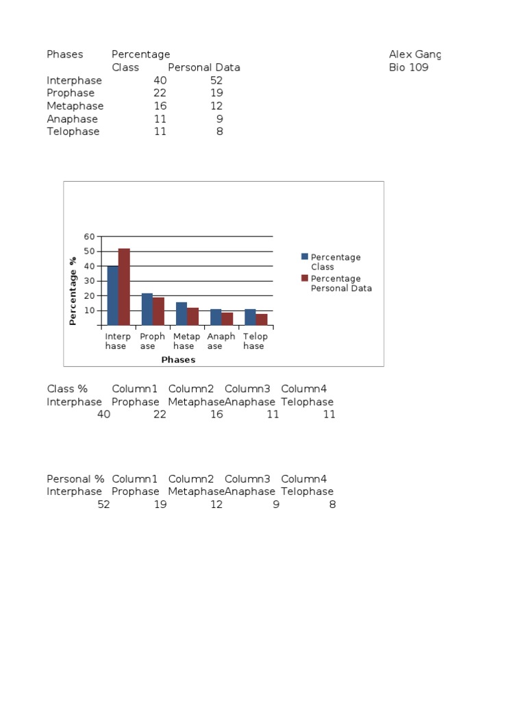 Excel Chart Phases | PDF