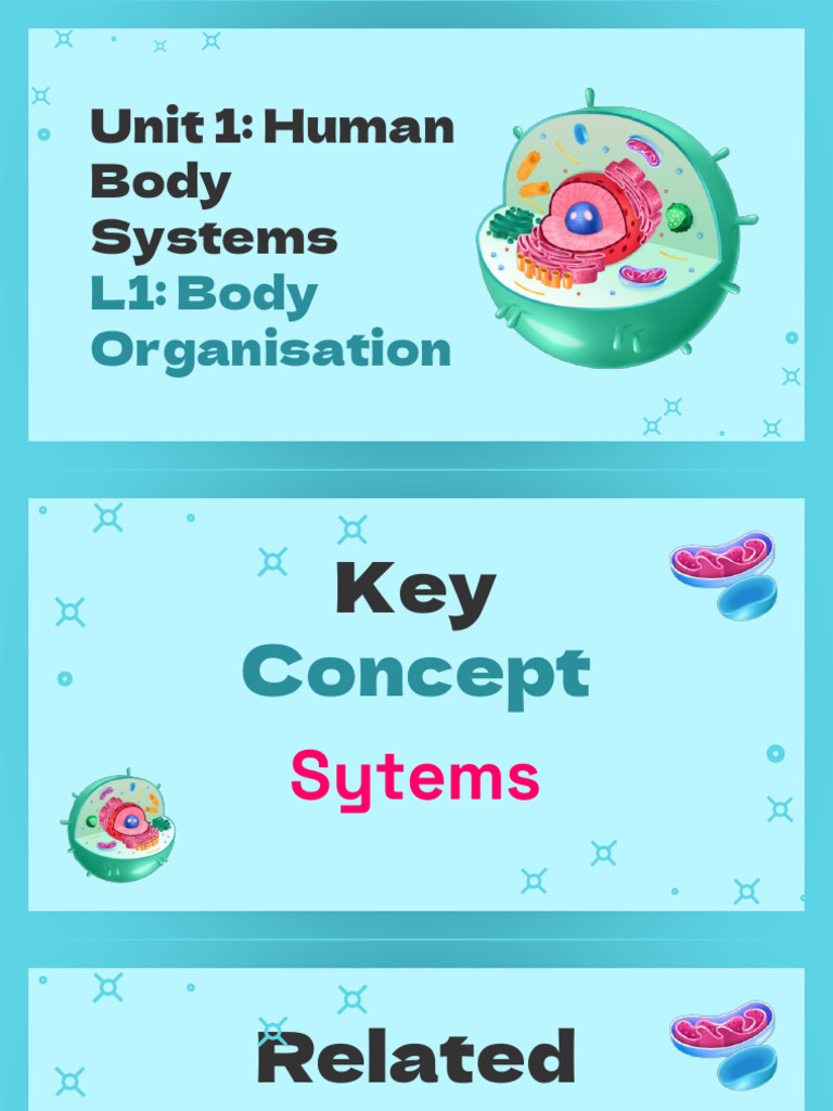 U1 - L1 Body Organization | PDF