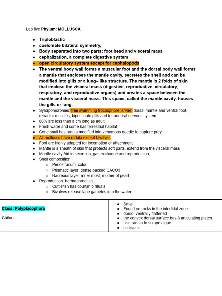 Lab Five Phylum: MOLLUSCA | PDF | Mollusca | Home & Garden