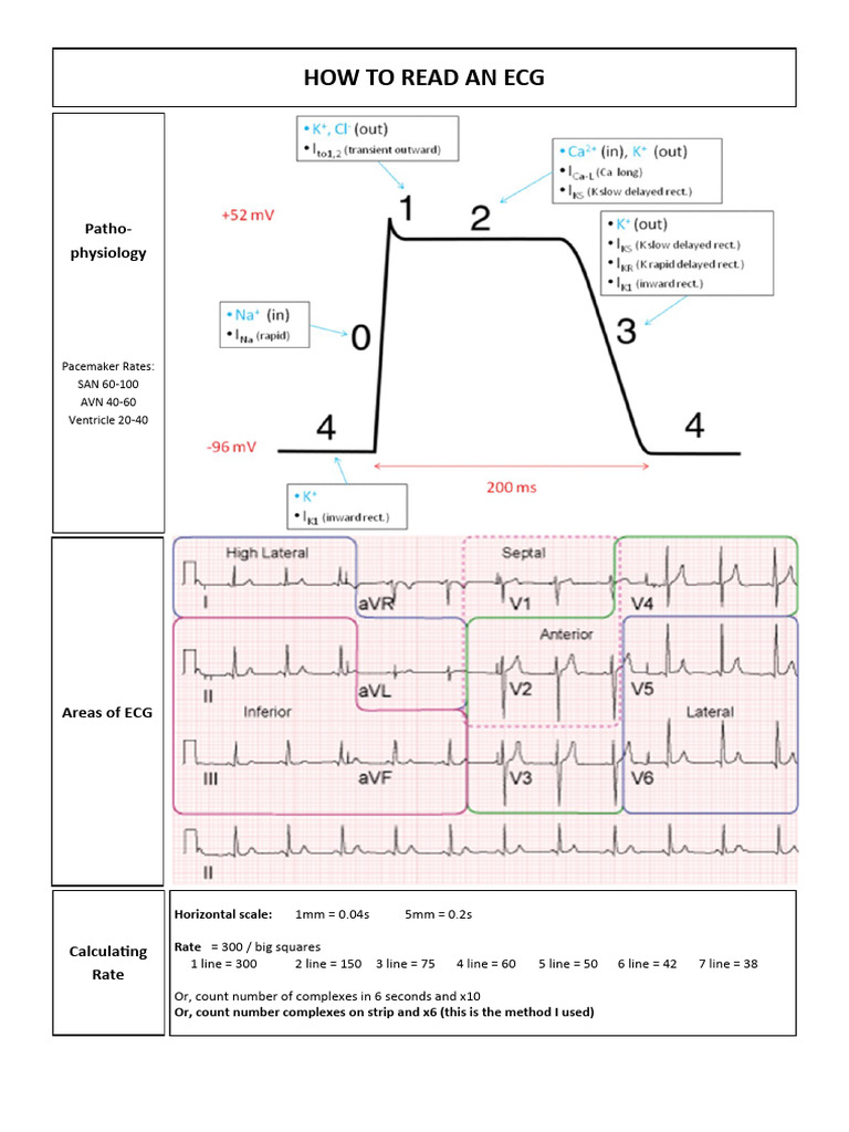 How To Read An Ecg | PDF