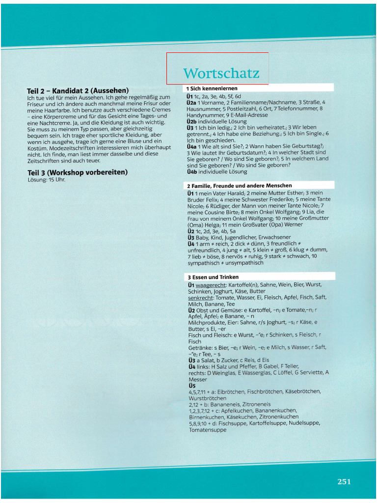 Wortschatz Lösung | PDF
