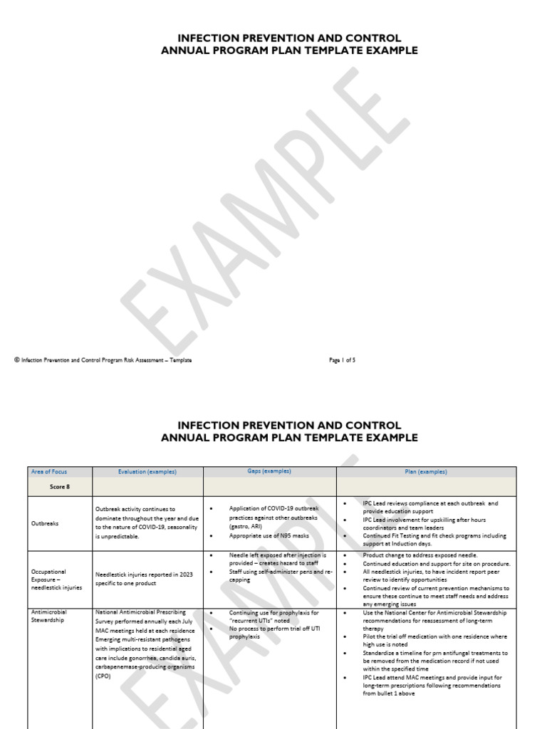 Infection Prevention and Control Program Plan Template Example | PDF