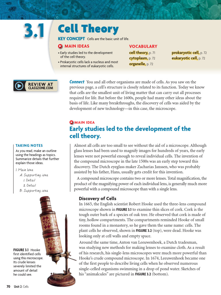 3.1 Cell Theory | PDF