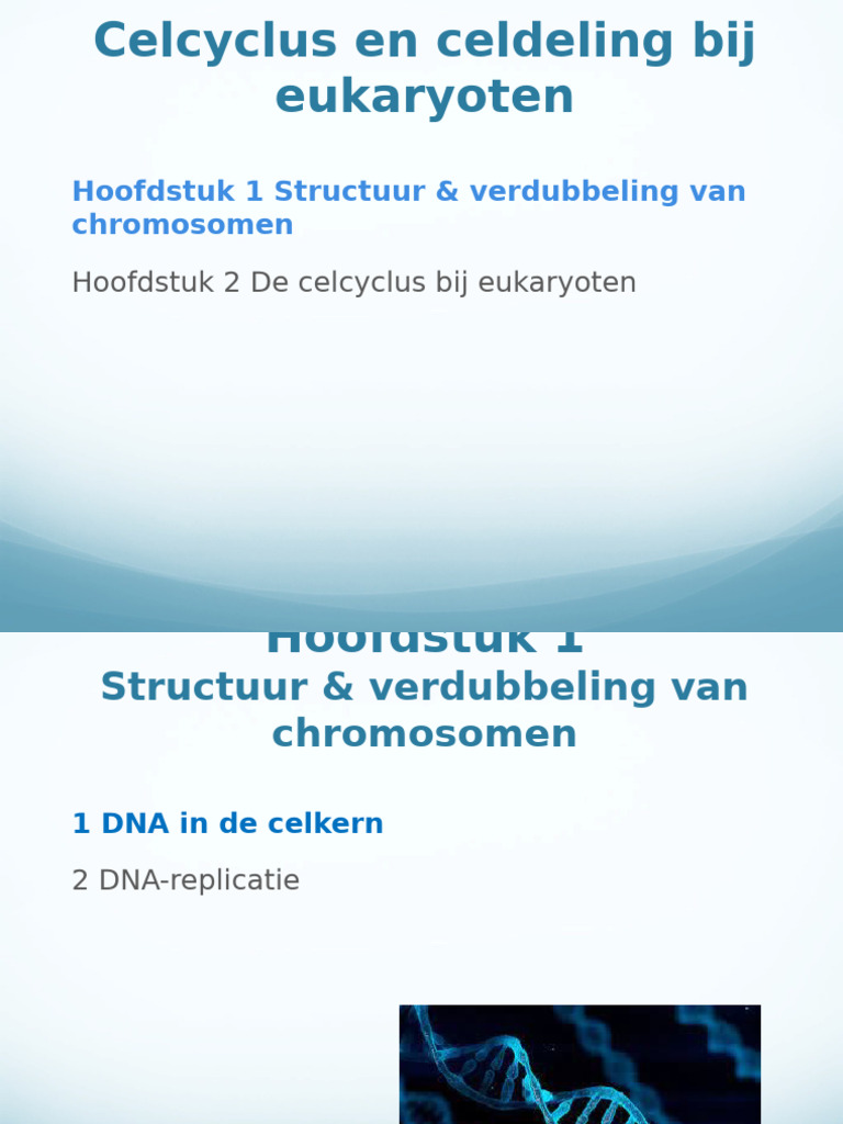 3.1 Structuur en Verdubbeling Van Chromosomen | PDF