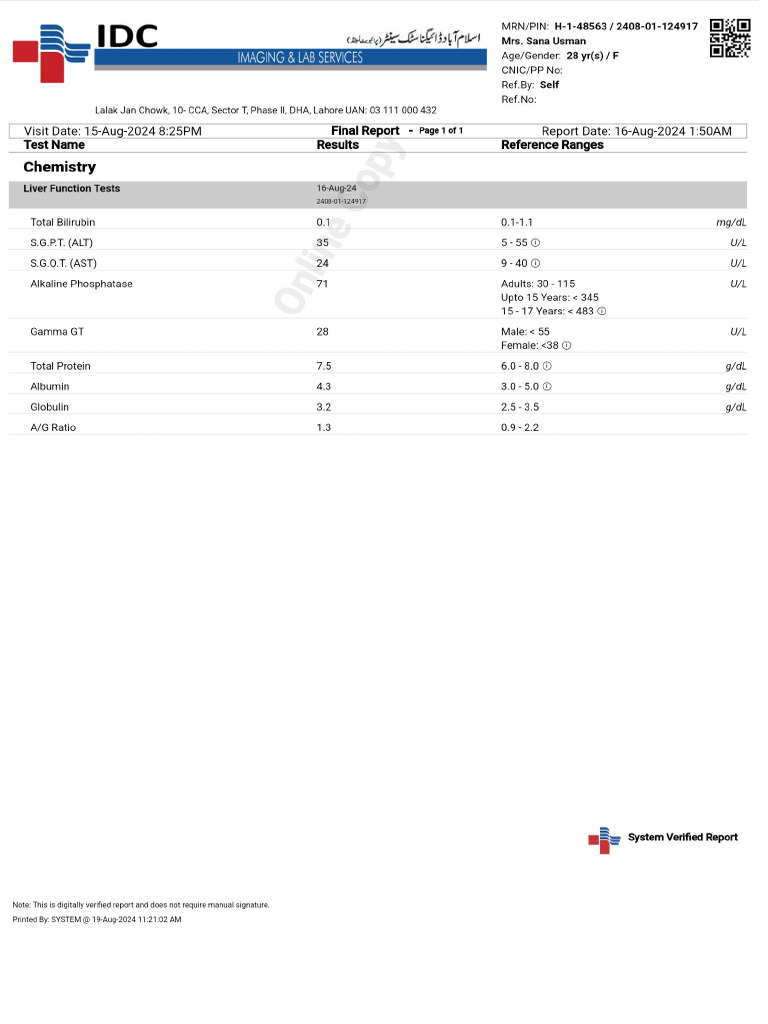 PatientReportPDF 1 | PDF