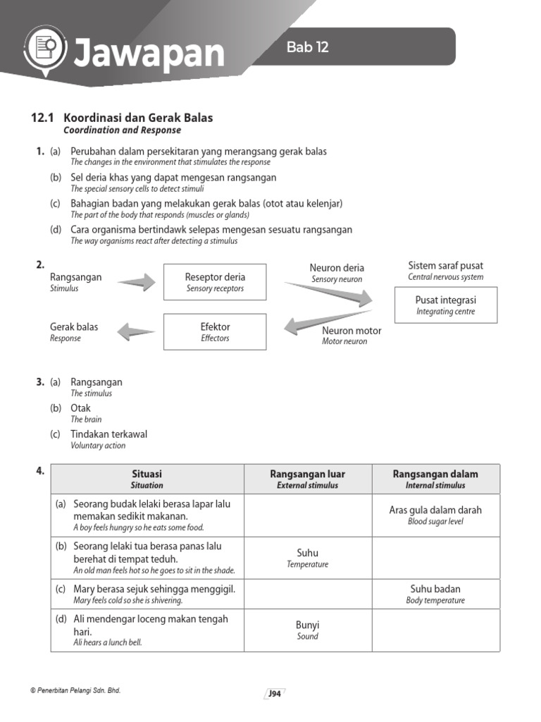 Bab 12 | PDF