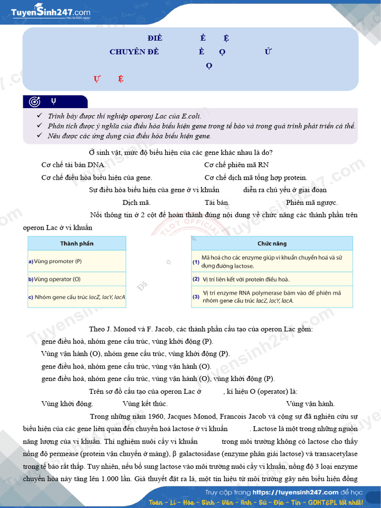 Hi 3 | PDF