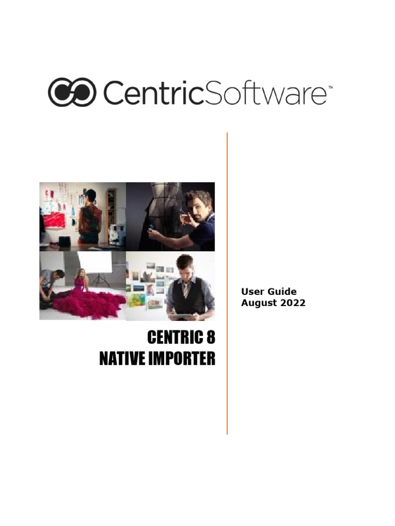 Centric 8 Native Importer User Guide 2 | PDF