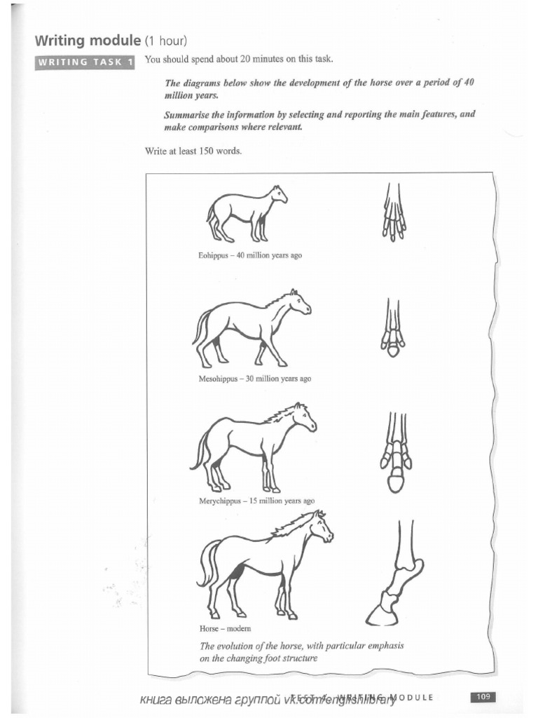 Writing C | PDF