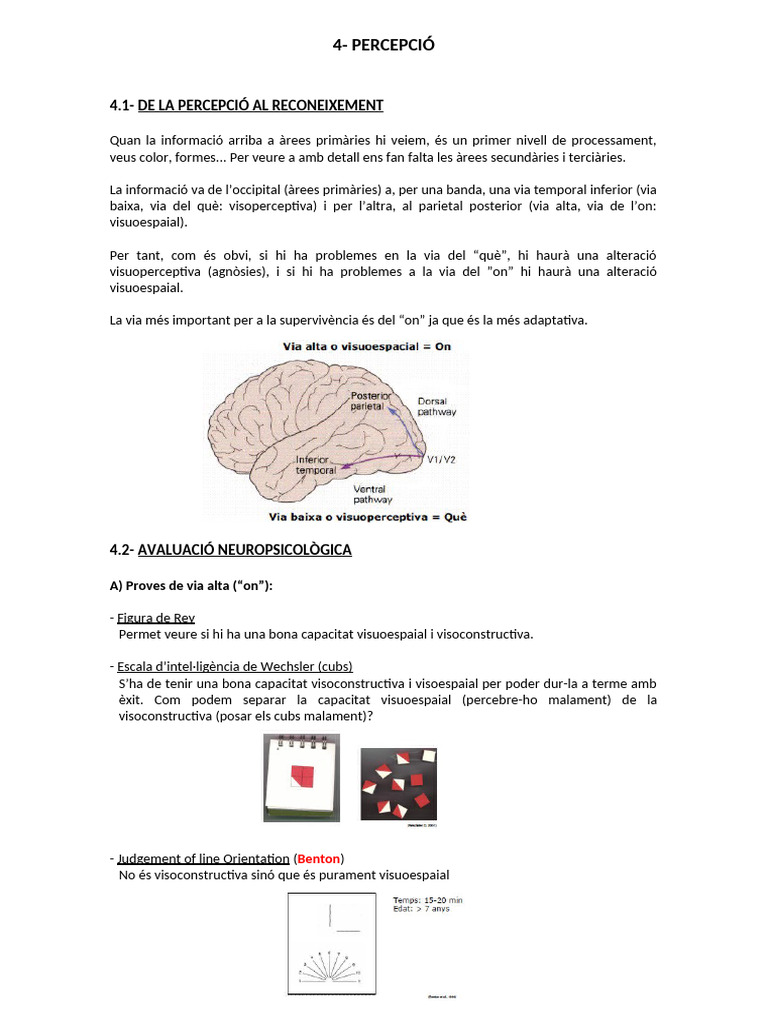 4 - Percepció | PDF